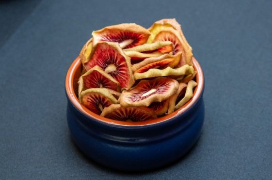 【キウイ物語（番外編）レシピ】 手軽に食べられる乾燥させたルビーレッドキウイ | OVO [オーヴォ]