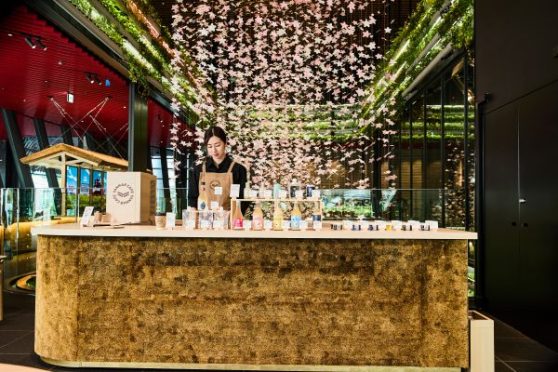 お米の新しい魅力を味わえるカフェ「YANMAR CAFE」でひんやりひと休み | OVO [オーヴォ]